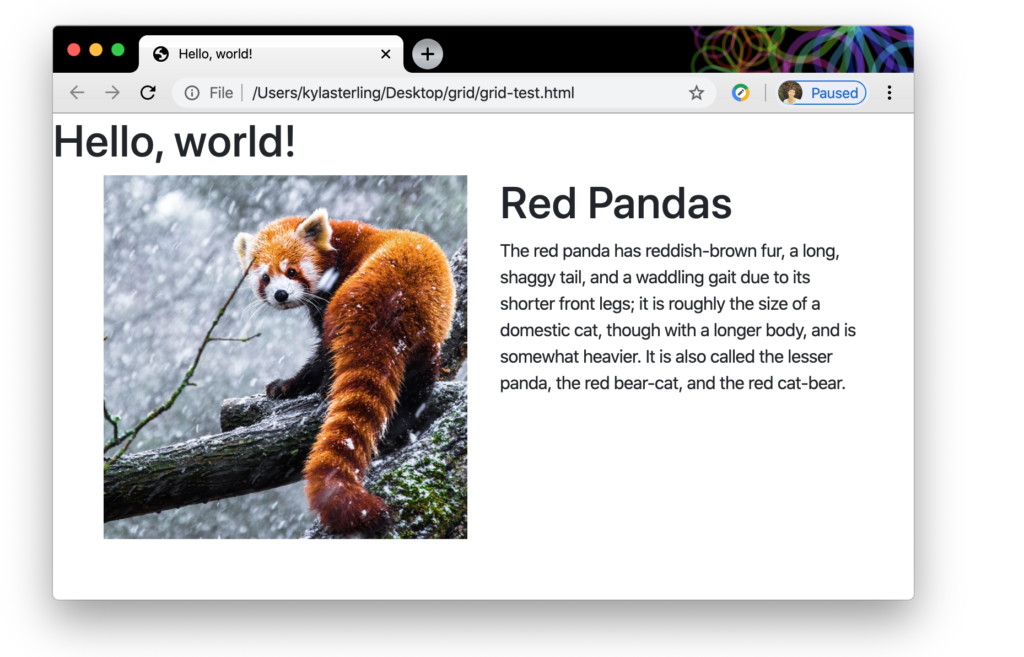 Bootstrap Grid Exercise – Web Dev
