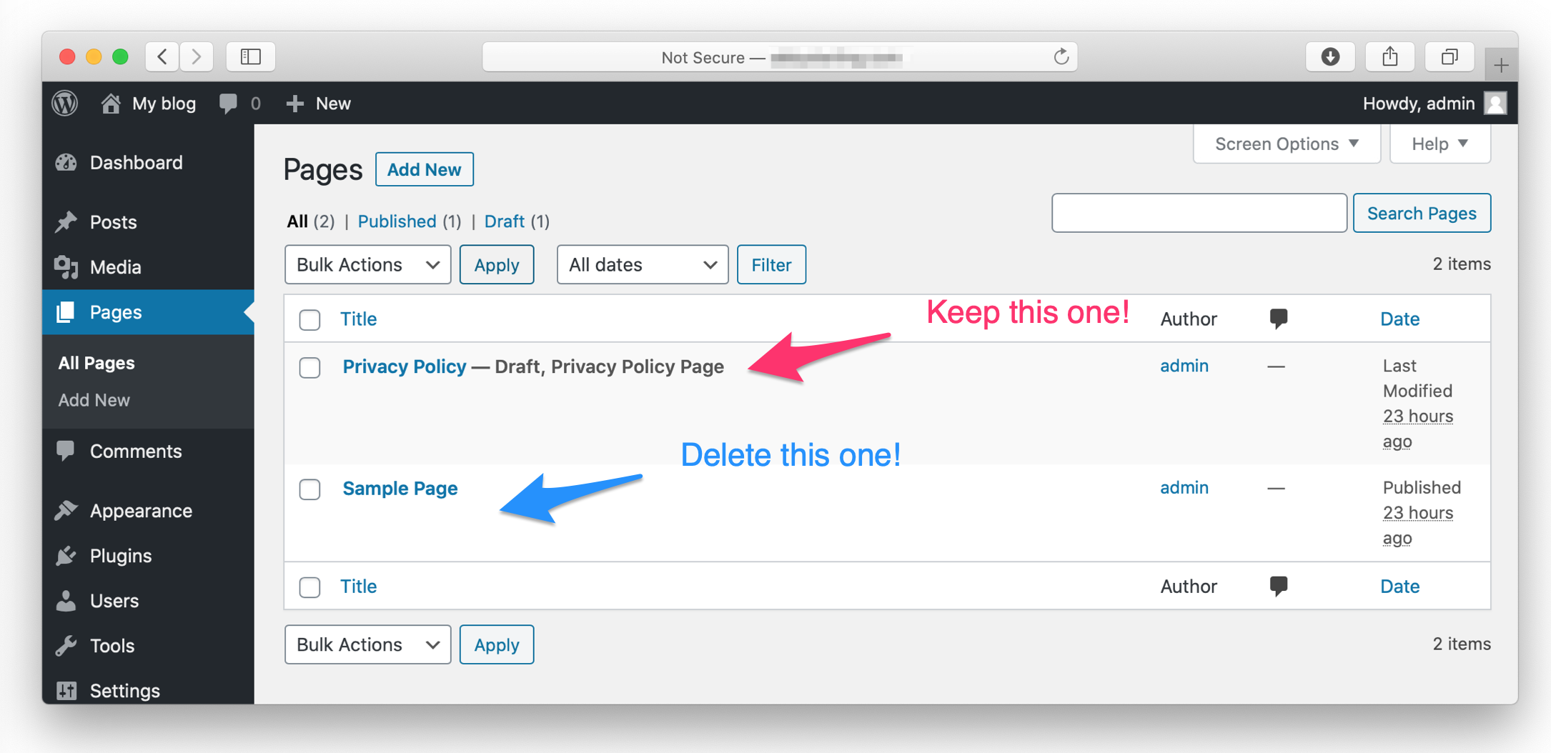 WordPress Starter Steps – Web Dev