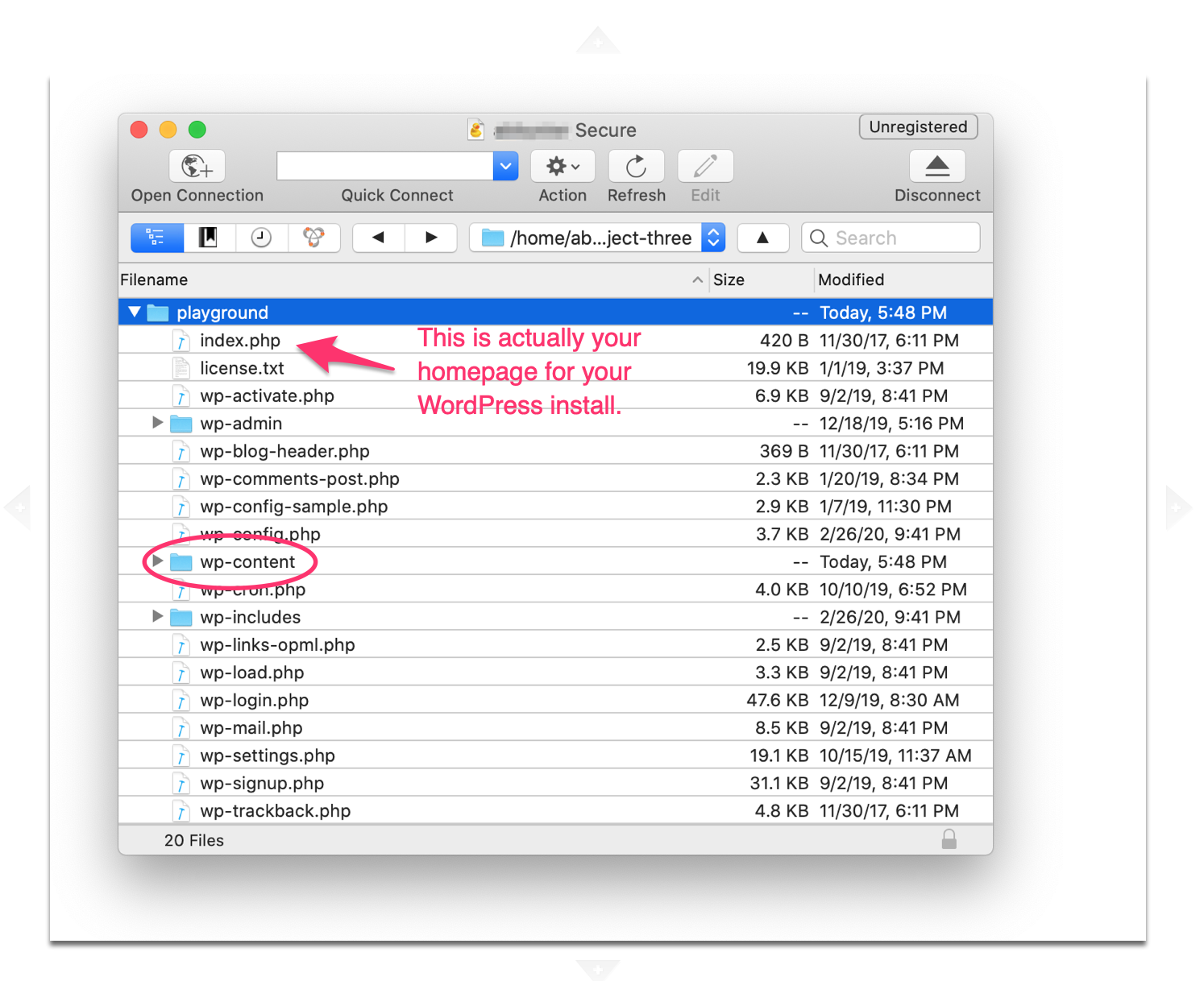 WordPress Playground – Web Dev